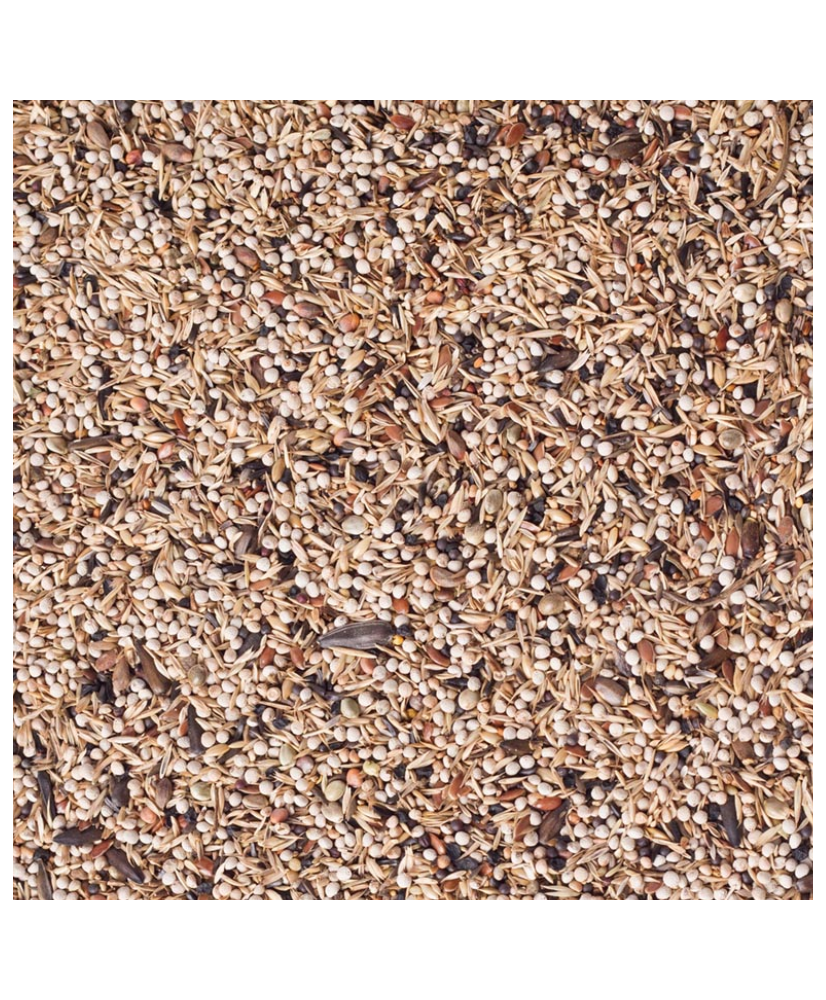 Deli Nature 47 Chardonnerets Light 15kg