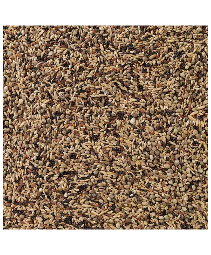 Deli Nature 91 Indigènes 20 kg