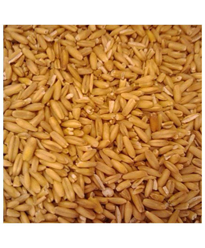 Avoine pelée 20 kg
