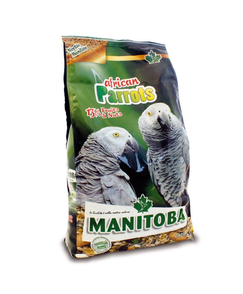 Manitoba African Parrots - Perroquets africains 15 kg