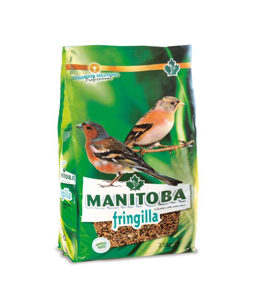Manitoba Fringilla - Pinsons des arbres 2.5 kg